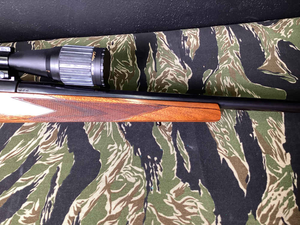 CZ/BRNO VZ24 CUSTOM SHILEN 270 WIN, THUMBHOLE STOCK, CABELAS SCOPE ...