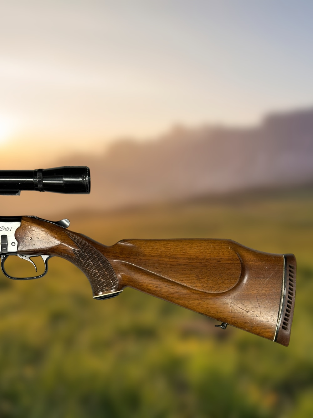 Austria Prinzess Kufstein 12GA/5.6x50R Combo Rifle w/ Scope – 1978 ...