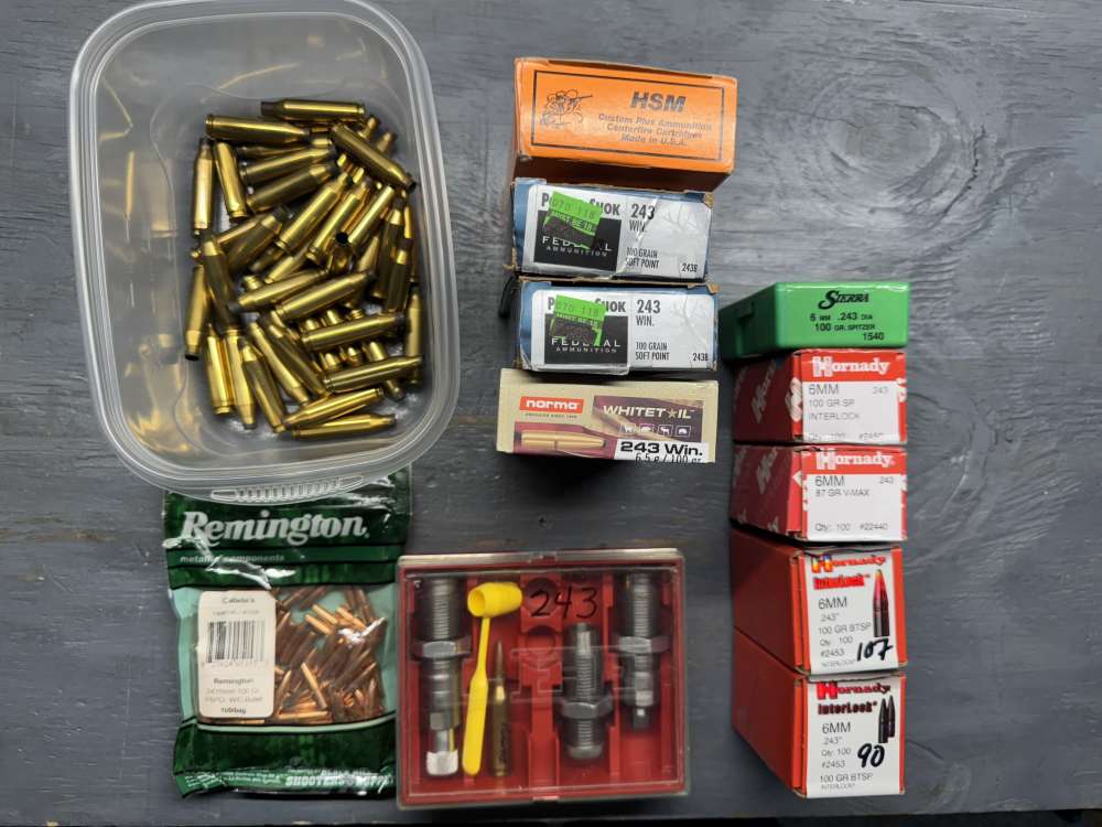 243 Brass, Bullets and Ammunition - Reloading Bullets at GunBroker.com ...