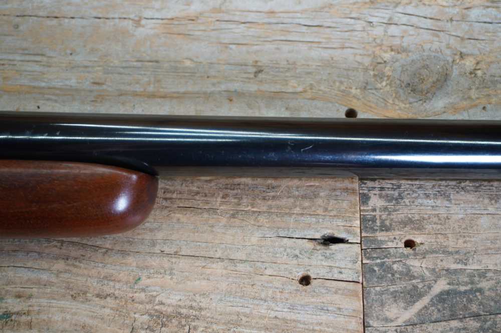 Webley English single shot COLOR CASE nice 30in 12ga C&R ok - Curios ...