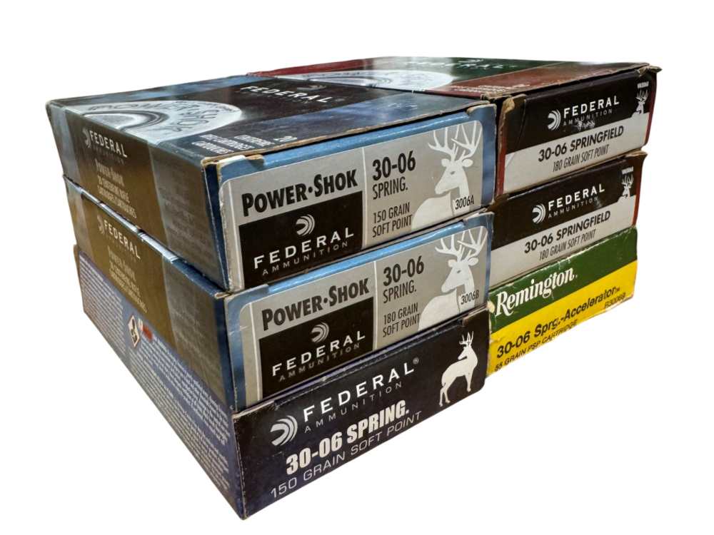 30-06 Springfield Federal Soft Point Remington Accelerator 55gr 117RDS ...