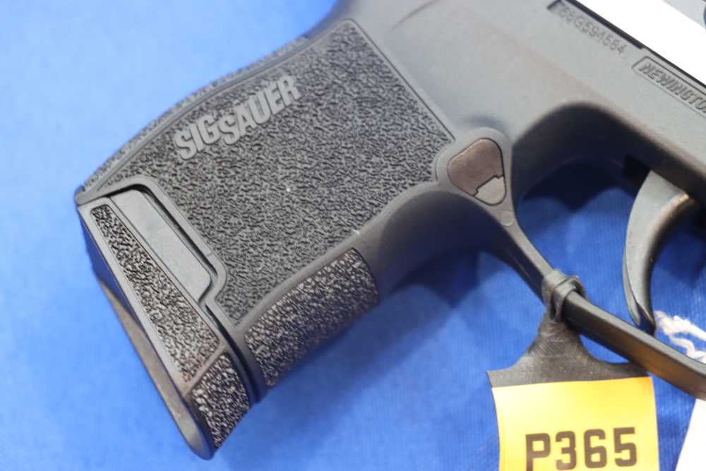 Sig Sauer Model P365 STAINLESS Pistol 9MM 365 Compact 2-TONE 10RD XRAY3 ...