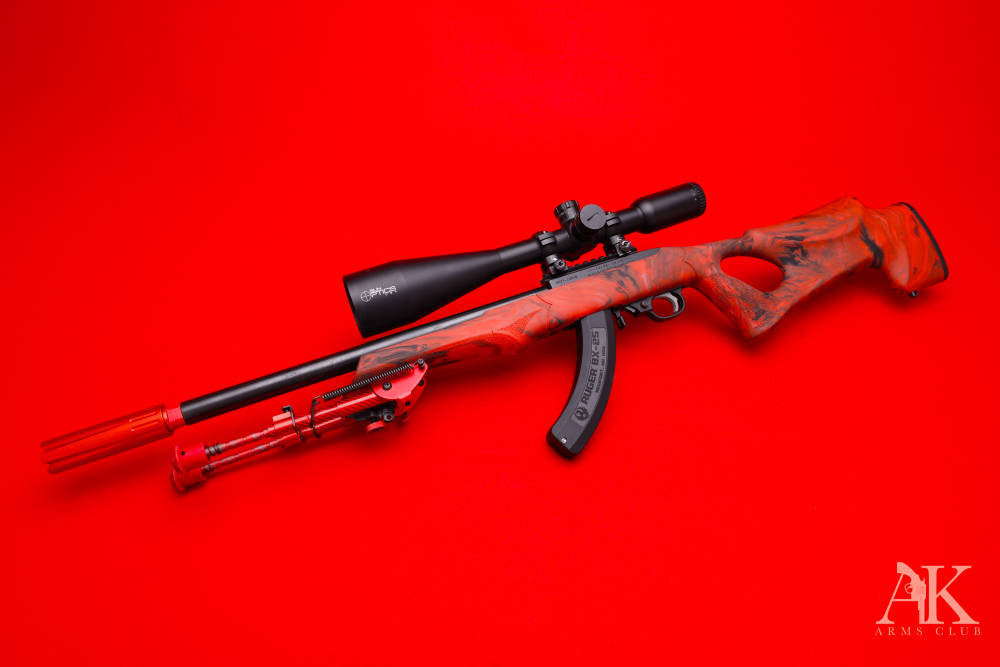 Custom 2023 Ruger Model 10/22 - Thumbhole Stock - Bipod - Scope - Semi ...