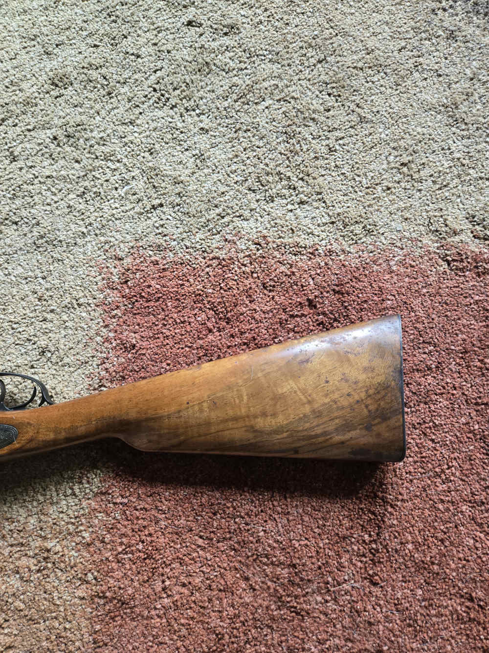 Navy Arms Muzzloading Shotgun - 12 gauge (blackpowder) - Black Powder ...