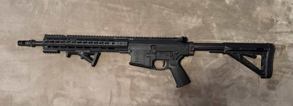 Primary Weapons Systems AR-10 .308 - Semi Auto Rifles at GunBroker.com ...