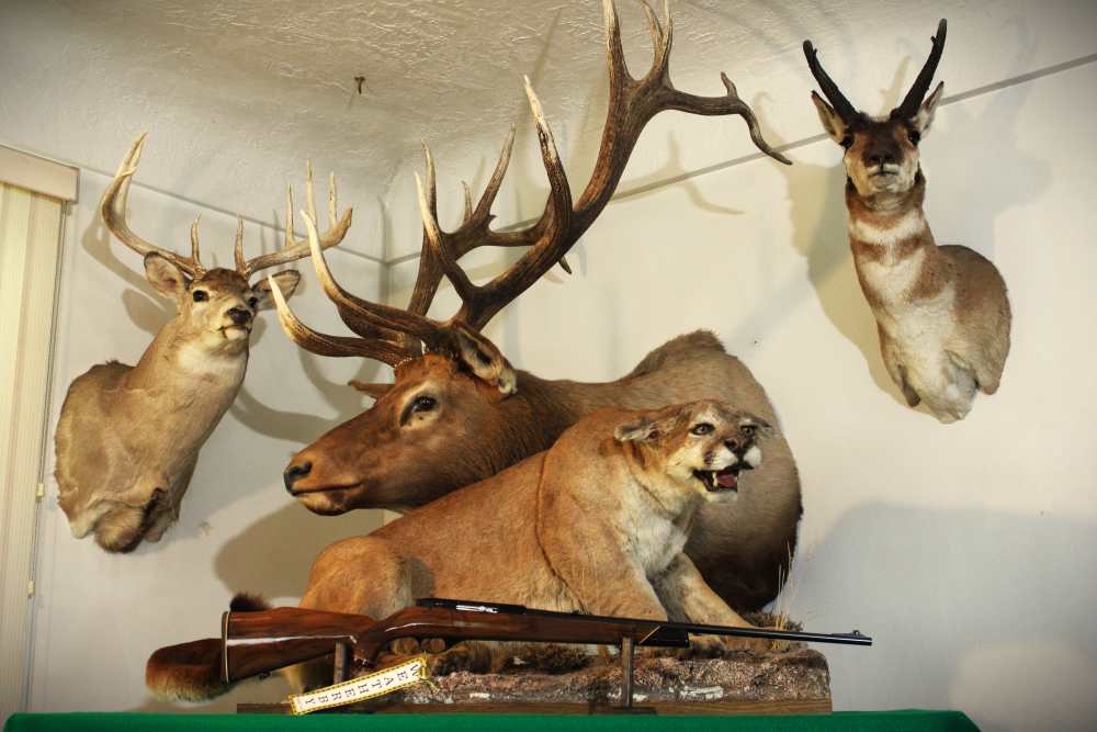 Weatherby Mark XXII 22 LR. Check our other auctions - Semi Auto Rifles ...