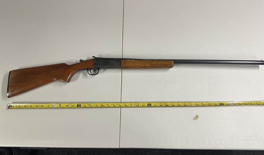 Stevens / Savage model 94C single shot youth 20 guage - Single Shot ...