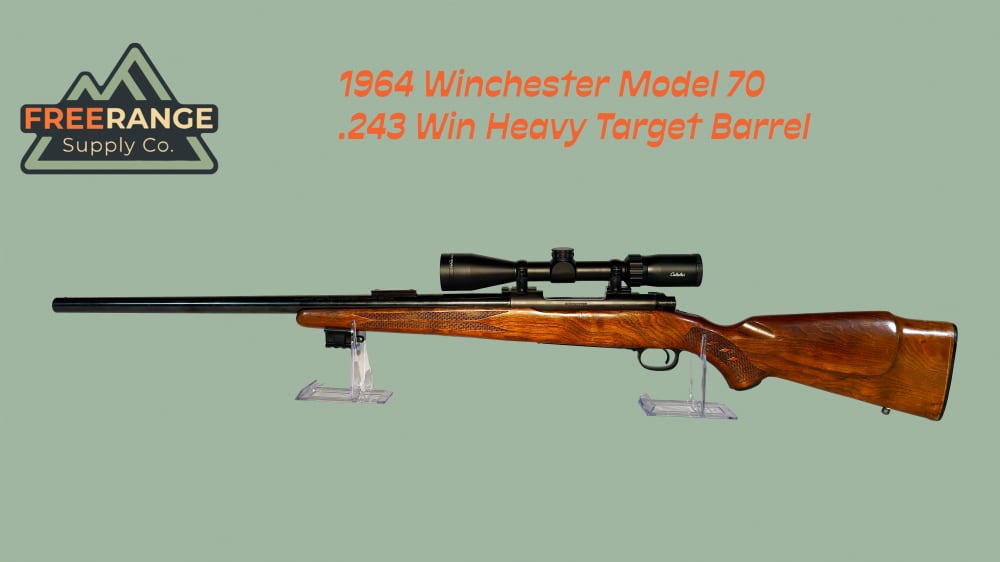 1964 Winchester Model 70, .243 Win, 24" heavy target barrel - Bolt ...