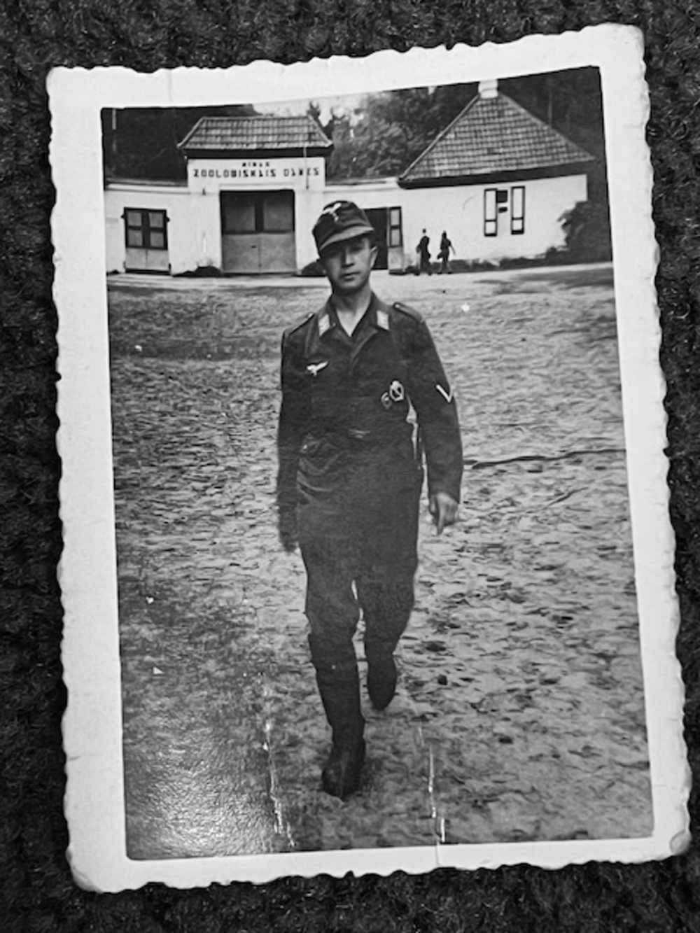 WW2 INFANTRY ASSAULT BADGE,LUFTWAFFE PILOT'S PHOTOGRAPH AND BREAST ...